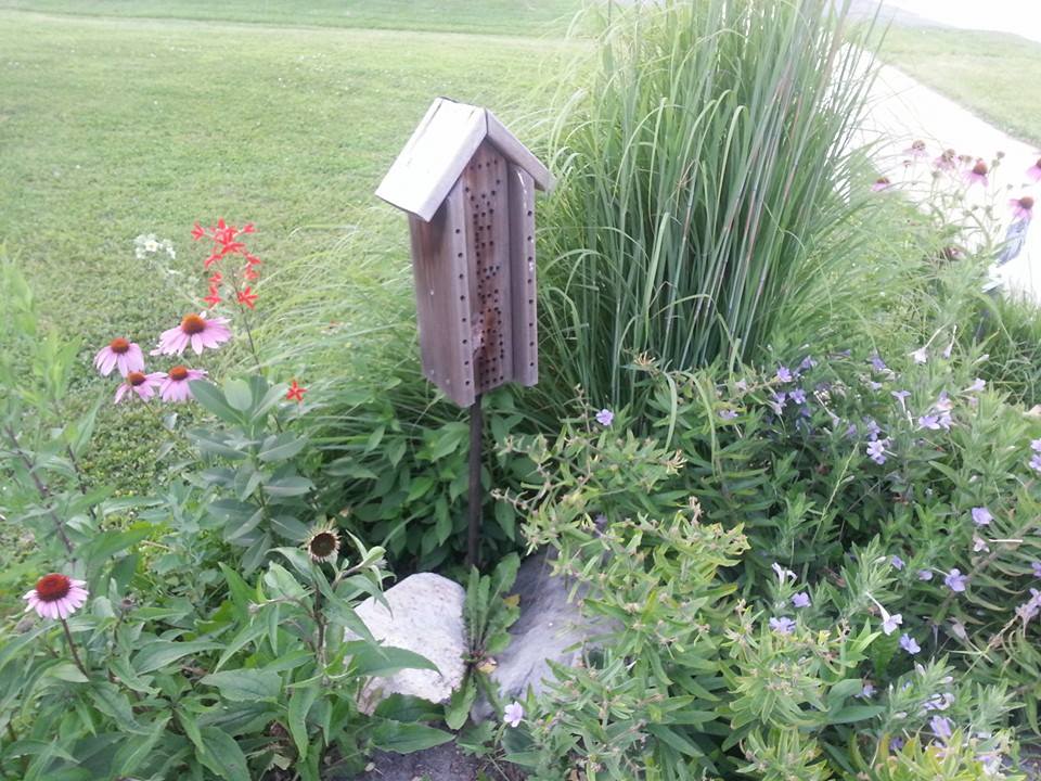 Reimagining the Suburban Lawn: Opportunities for Growth – Red Oak Rain ...