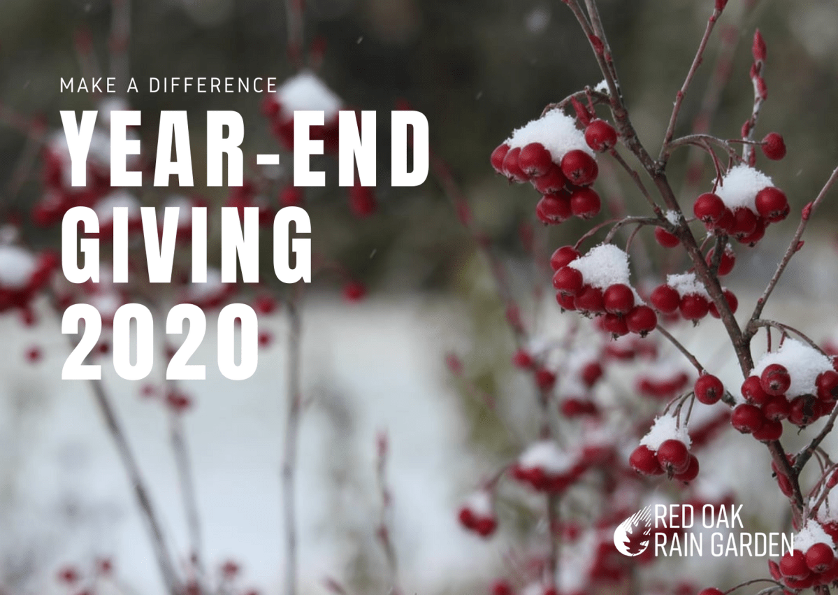 Make a Difference with Year-End Giving