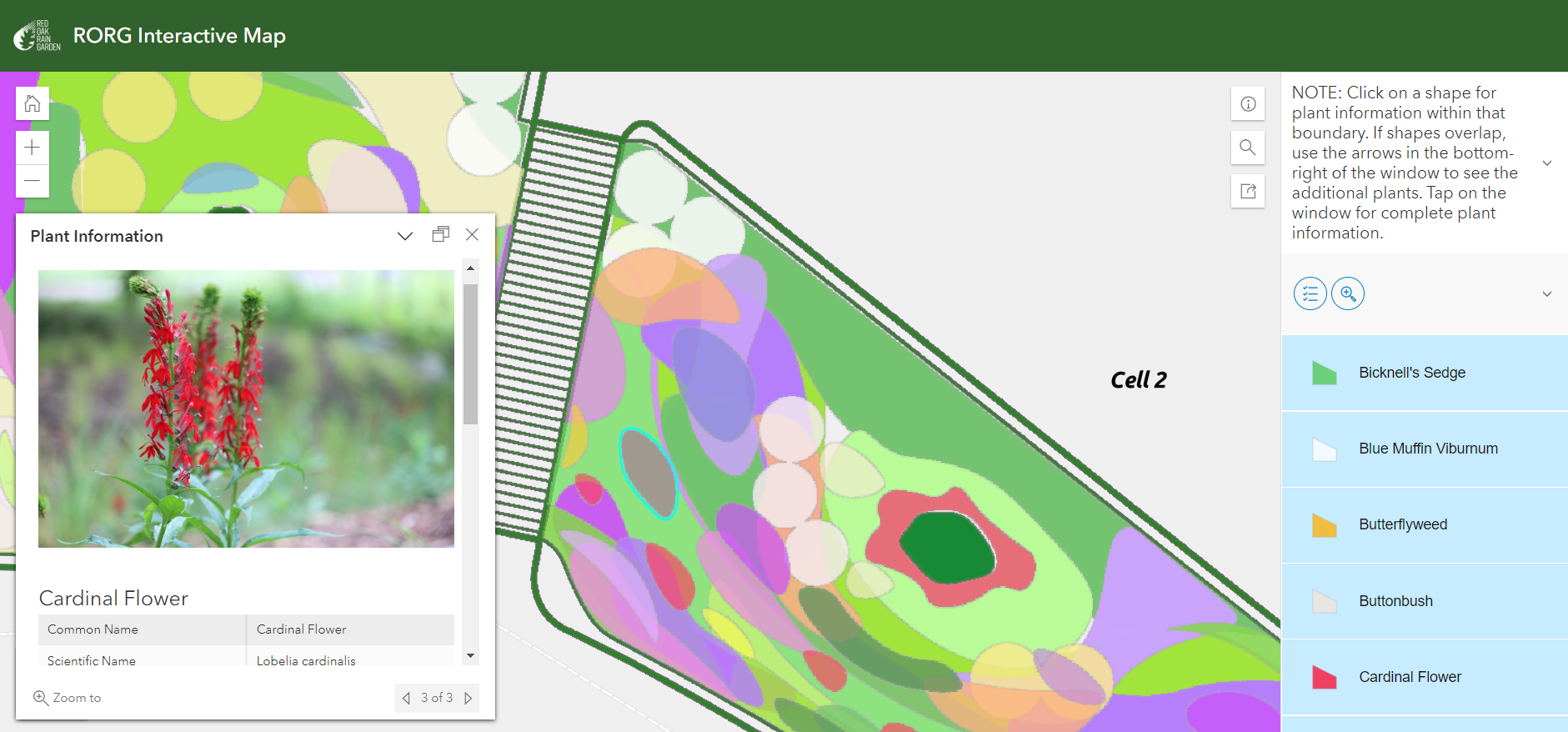 Mapping the Red Oak Rain Garden – Red Oak Rain Garden