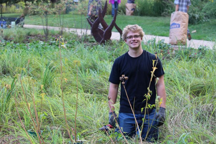 The Intersection of Engineering and Nature at the Red Oak Rain Garden ...